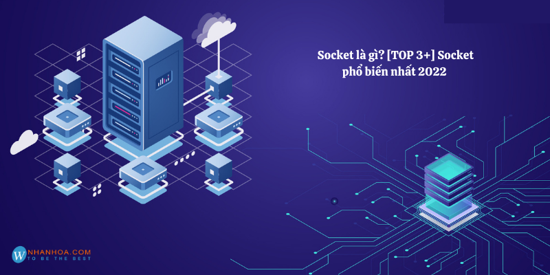 Socket là gì? [TOP 3+] Socket phổ biến nhất 2022 - Blog Nhân Hòa