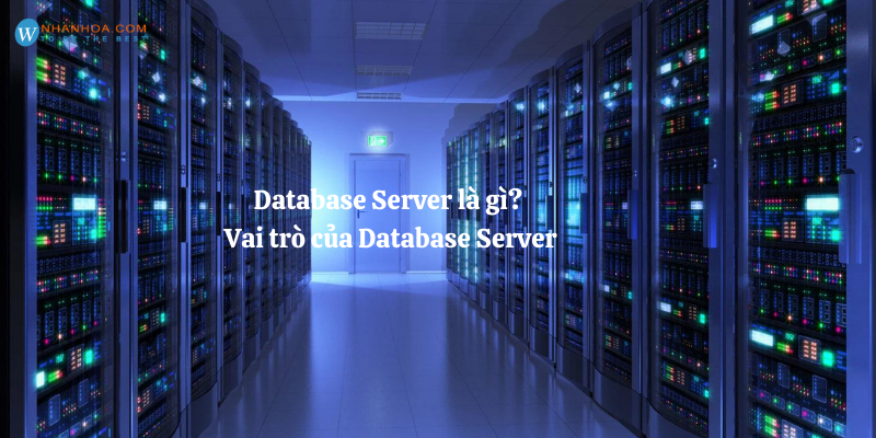 Database Server là gì? Vai trò của Database Server - Blog Nhân Hòa